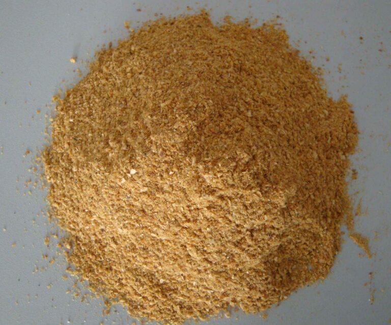 Corn Gluten Feed (CGF) - Yashika Proteins