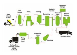 What is the manufacturing process of rice DDGS? - Yashika Proteins